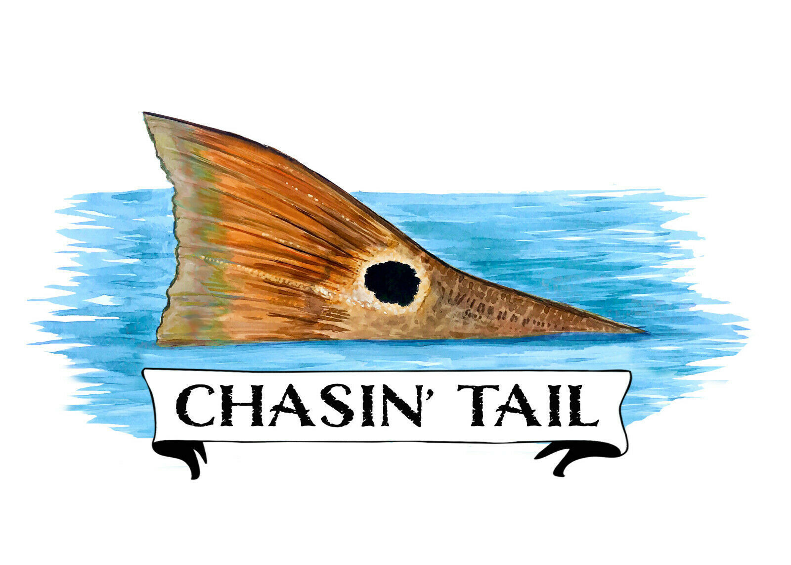 Chasin Tail - Redfish Drum Tailing Vinyl Decal Sticker - Car Truck SUV ...