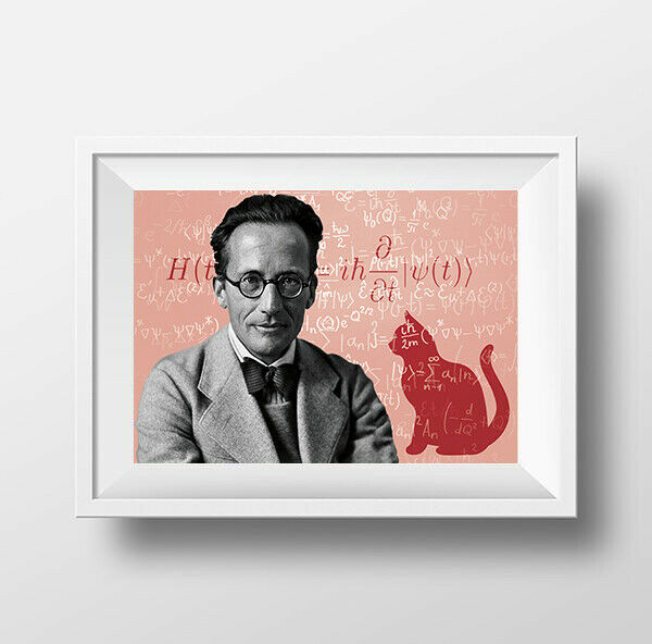Erwin Schrödinger Scientist Portrait Poster - Art Posters
