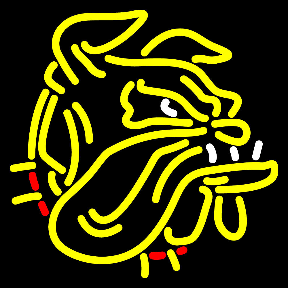 NCAA Minnesota Duluth Bulldogs Logo Neon Sign - Other Collectible Lighting