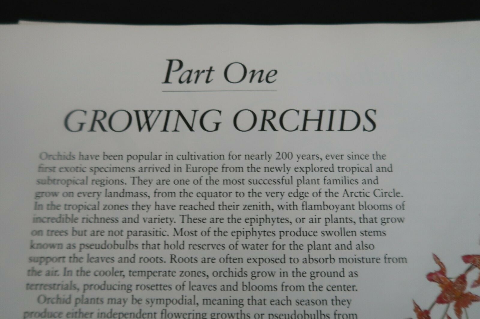 Step by Step Guide to Growing and Displaying Orchids reference book ...