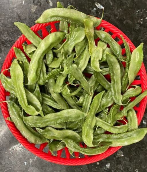 10 Dwarf Hyacinth Beans Bush Chedi Avaraikai and 50 similar items