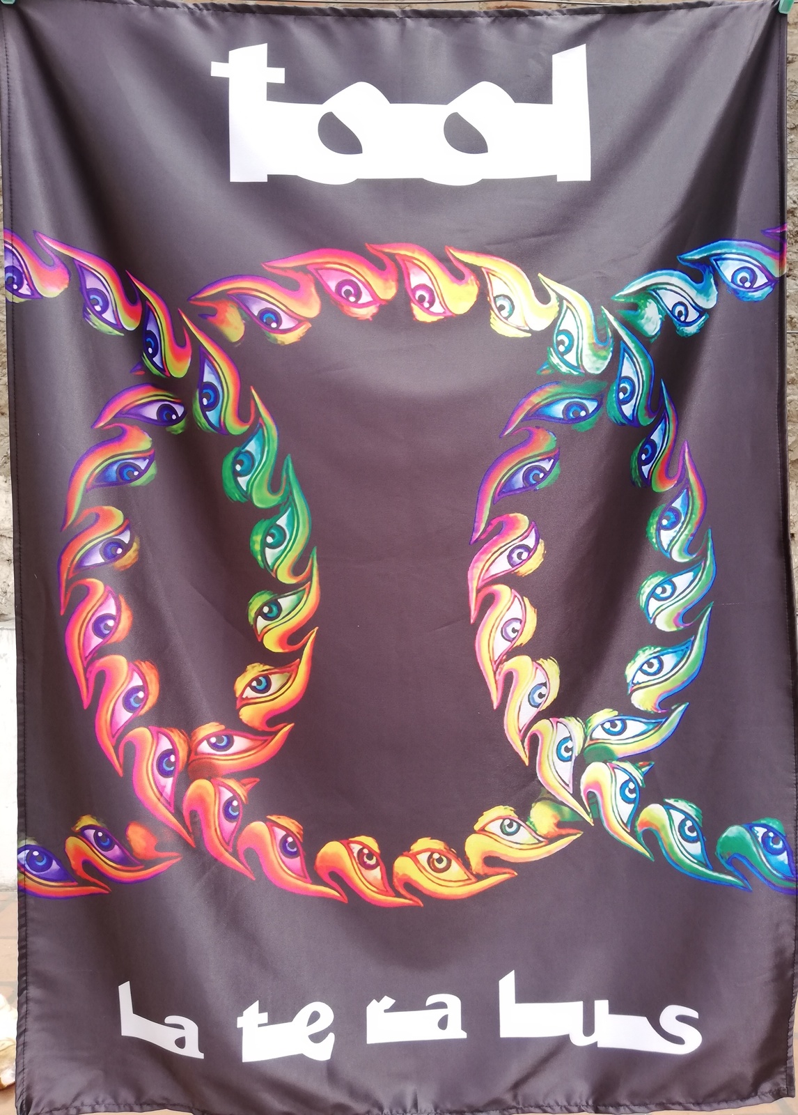 Lateralus Poster