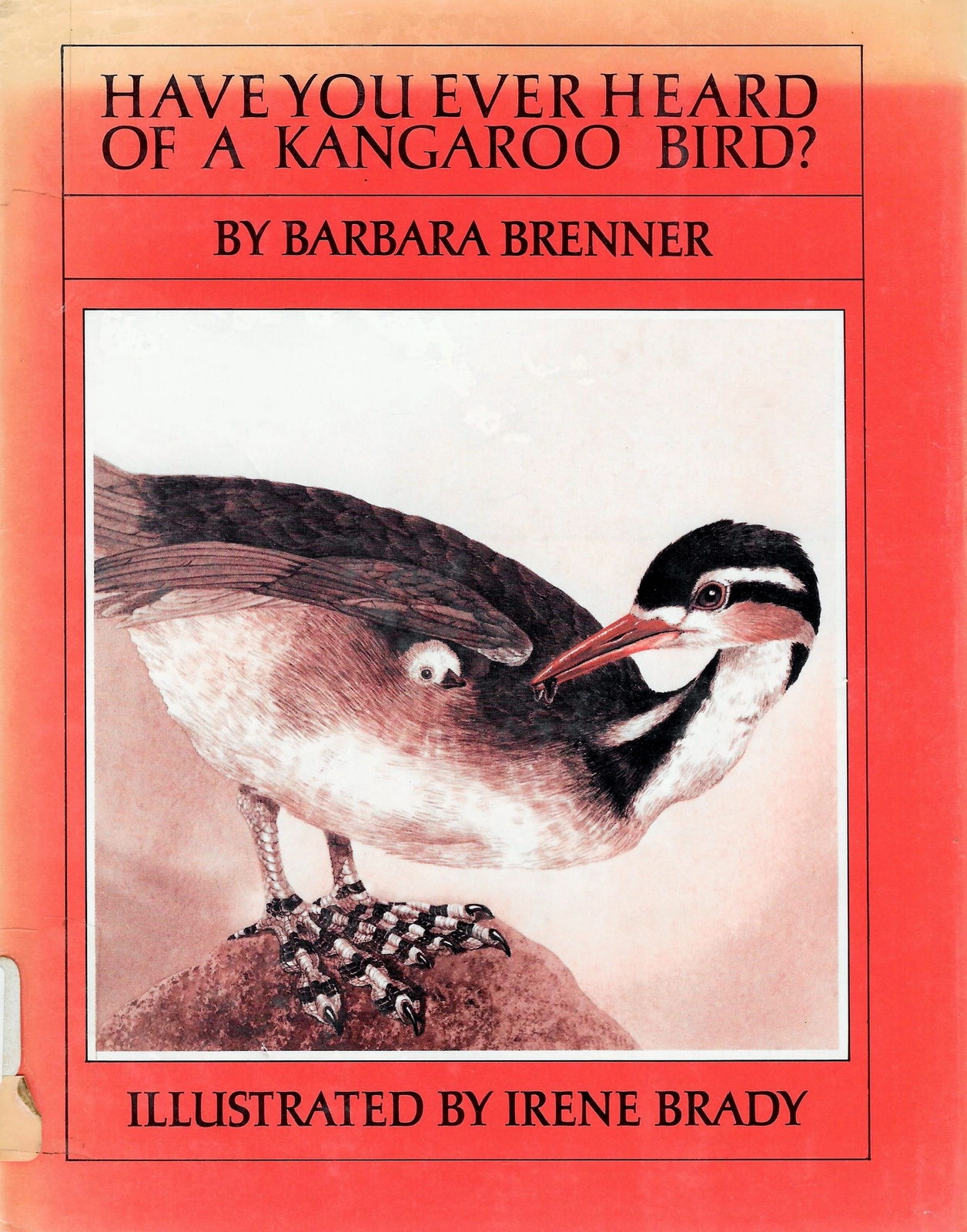 Have You Ever Heard of a Kangaroo Bird? Unusual Birds of the World - Books