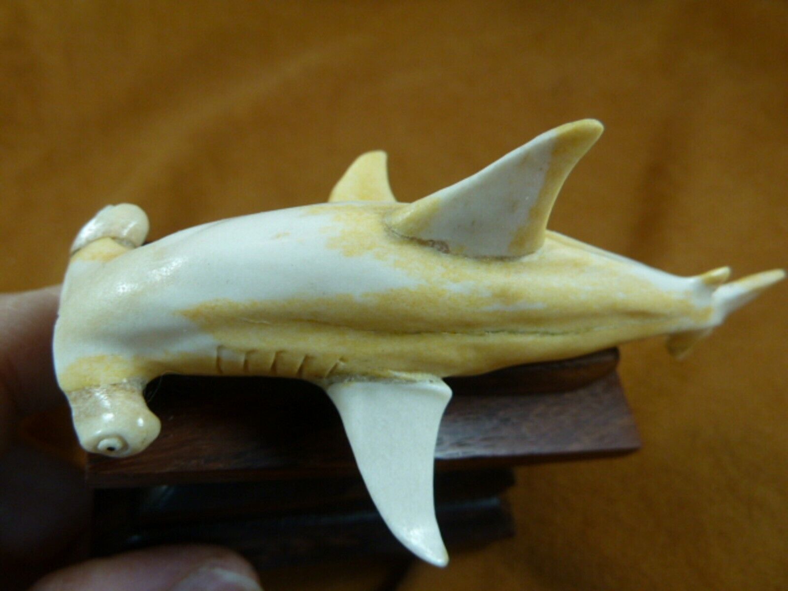 (Shark-5) Hammerhead Shark display figurine of shed Moose antler Bali ...
