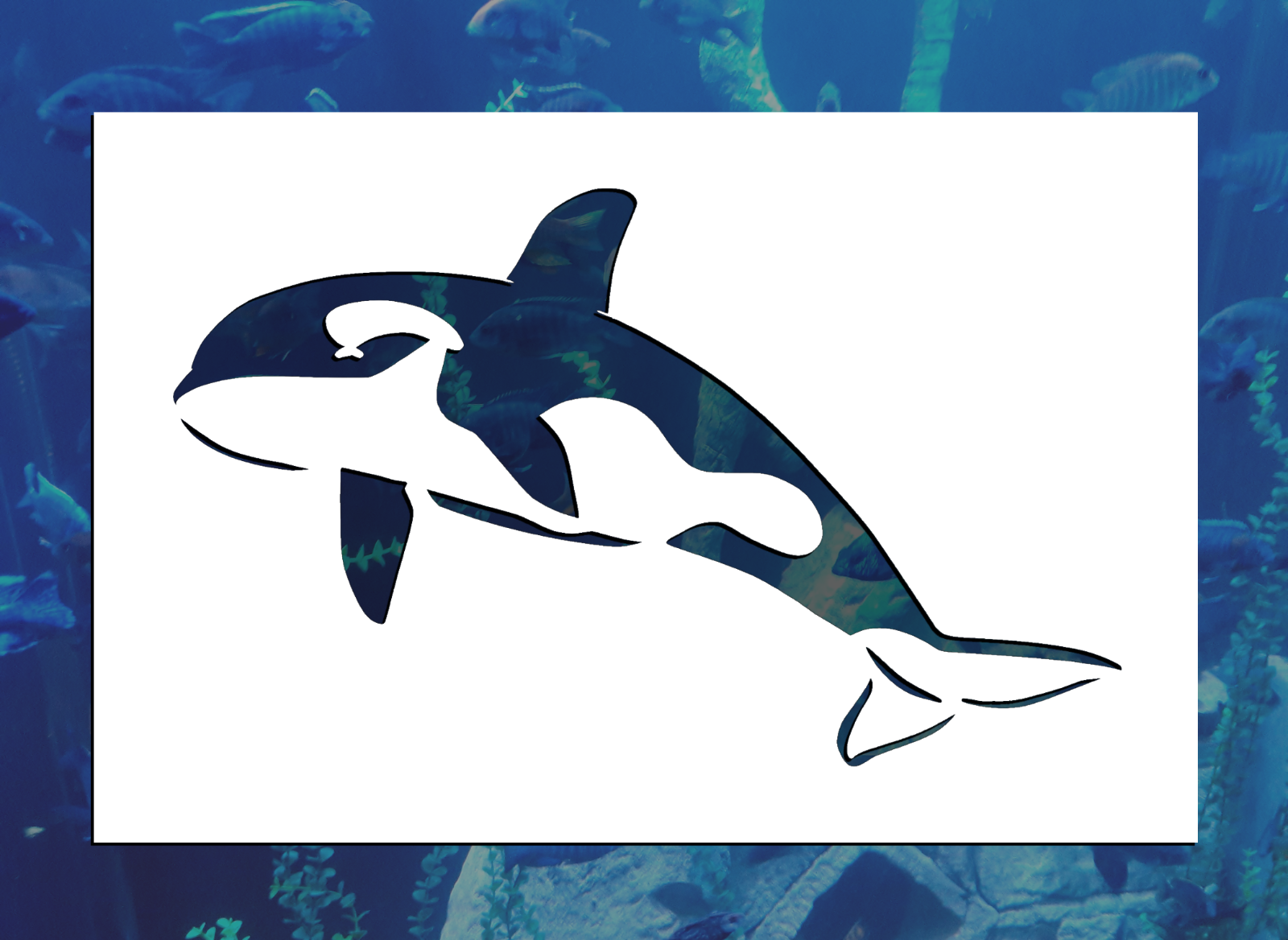 Orca Reusable Stencil (Many Sizes) - Stencils & Templates