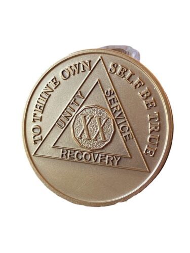 20 Year AA Medallion Premium Bronze Lion Back Sobriety Chip - Tokens ...