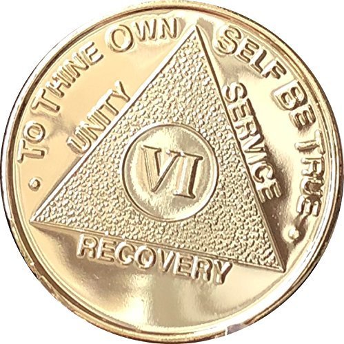 6 Year AA Medallion Gold Plated Anniversary Chip VI - Toys & Hobbies
