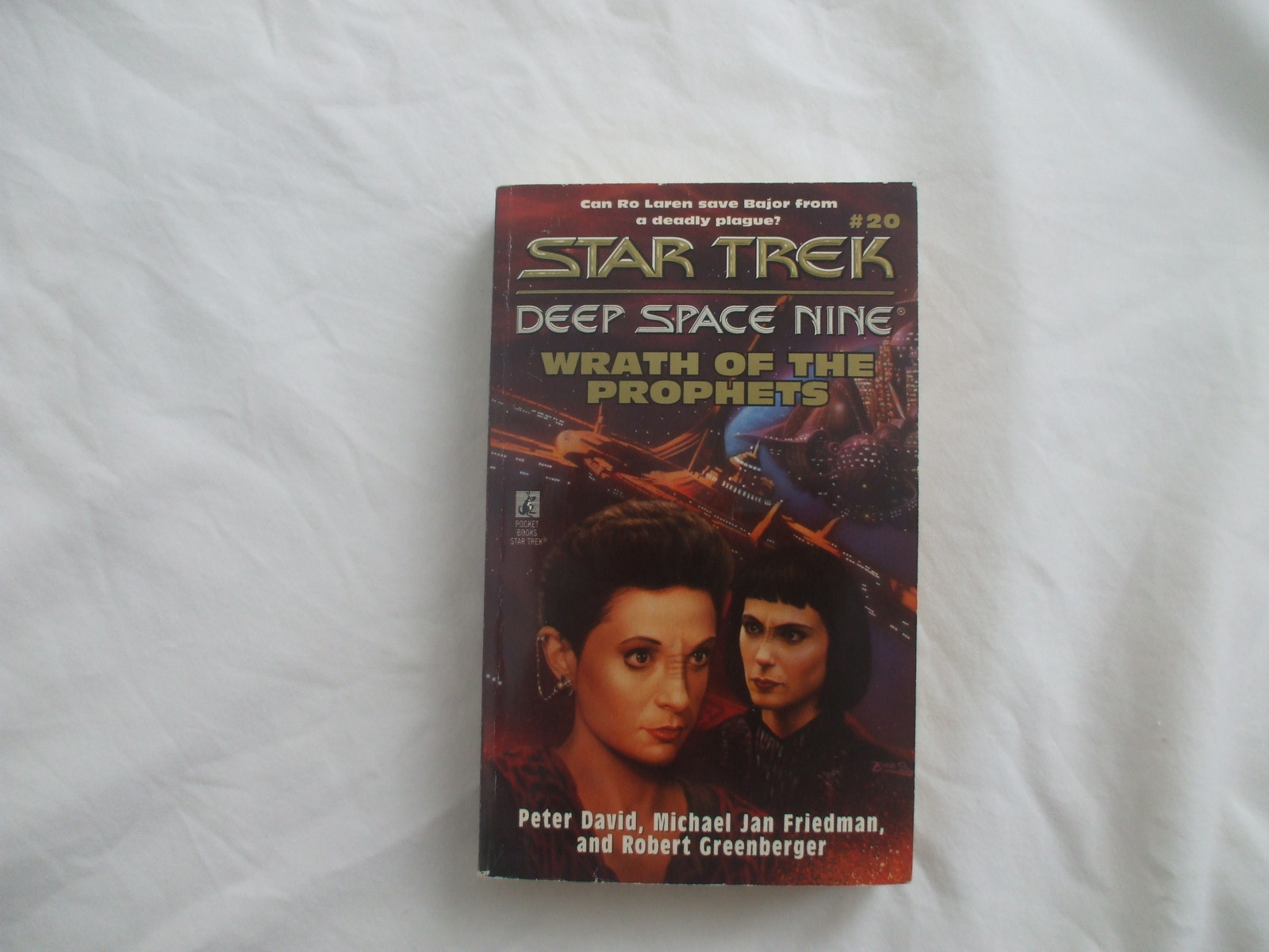 Softcover paperback book #20 Star Trek Deep Space Nine Wrath of the ...