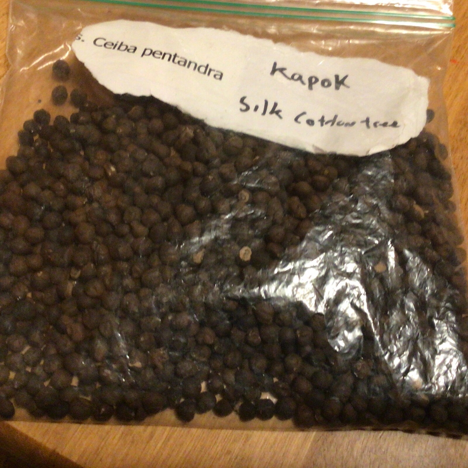 Kapok Tree Seeds Ceiba Pentandra Silk Cotton Cotton Tree Java Kapok ...