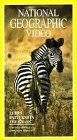 National Geographic: Zebra Patterns in Grass [VHS] [VHS Tape] - DVDs ...