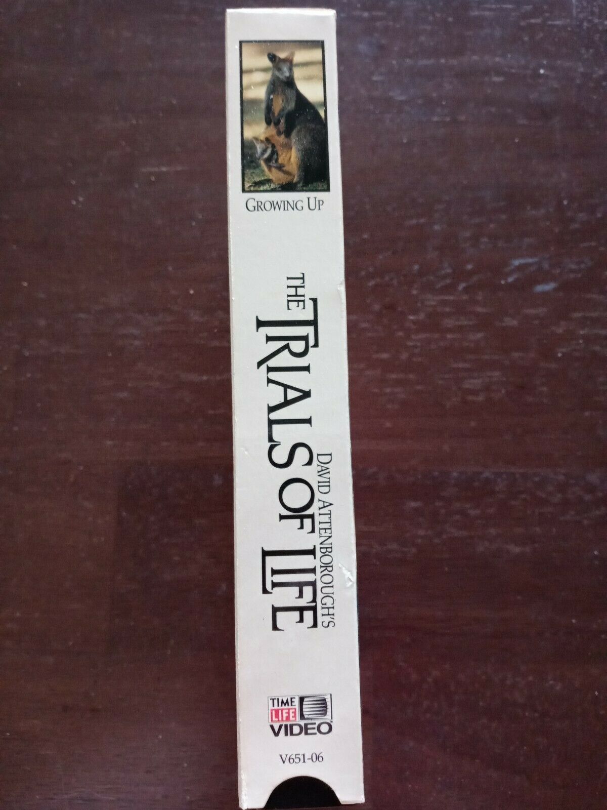 The Trials Of Life Growing Up VHS - VHS Tapes
