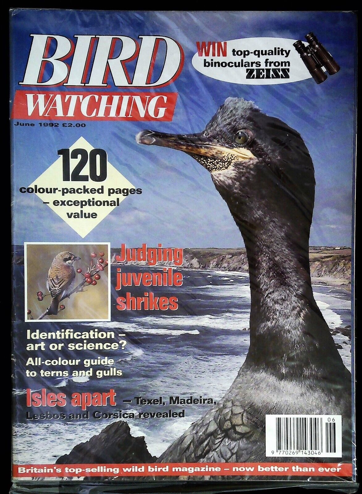 Bird Watching Magazine June 1992 mbox2604 Judging Juvenile Shrikes ...