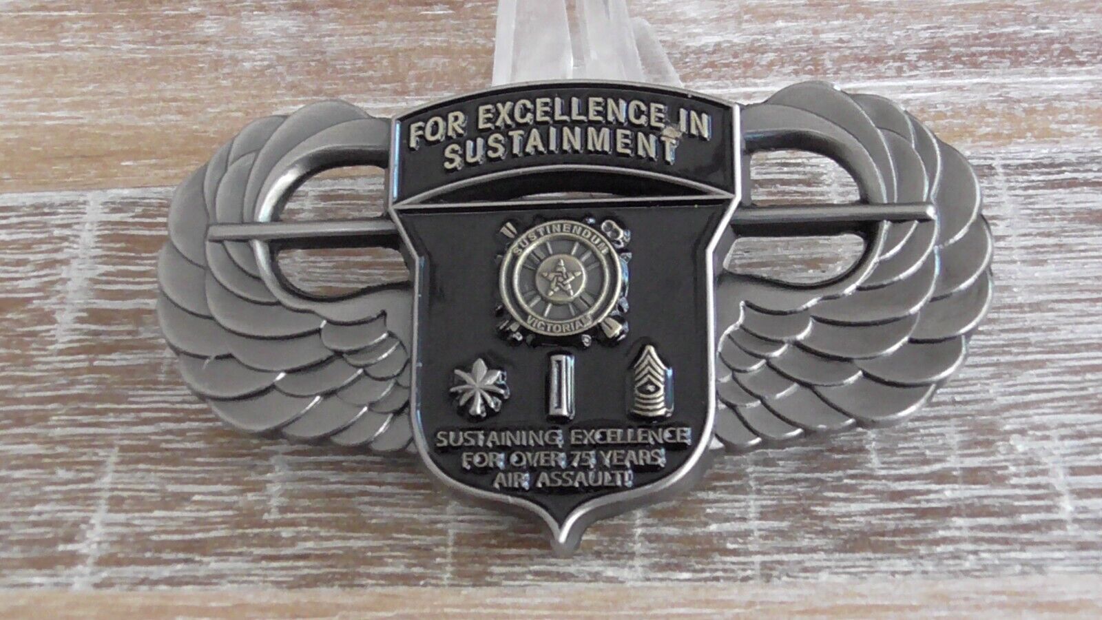 US Army 101st Airborne Sustainment 75 Years AS Commanders Challenge ...