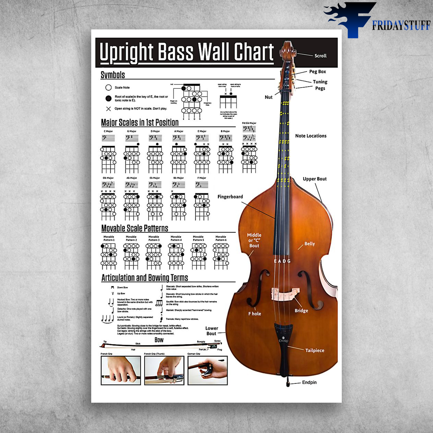Upright Bass Wall Chart Major Scales In 1st Position - Art Posters