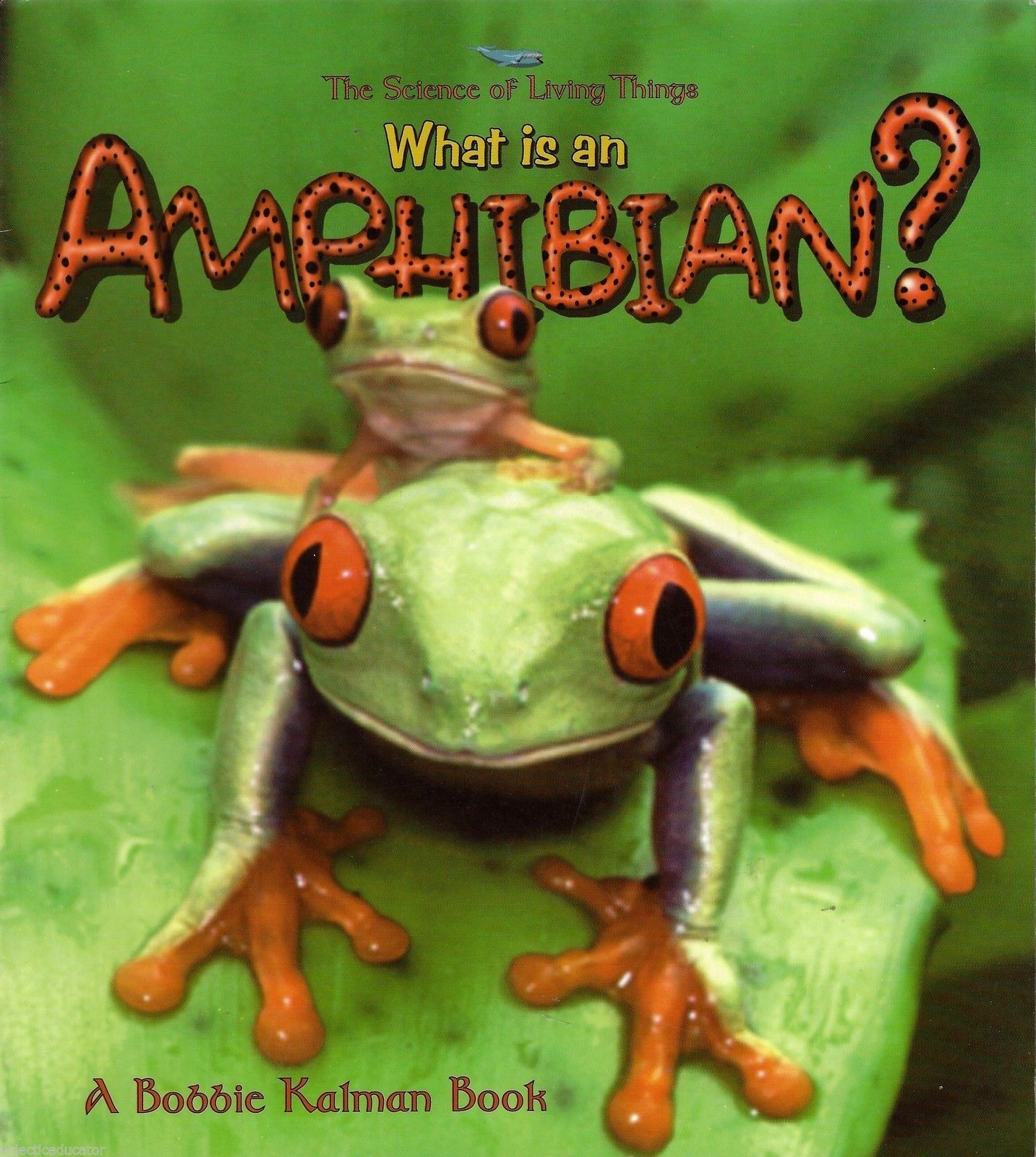 What Is An Amphibian Science of Living Things Bobbie Kalman - Books