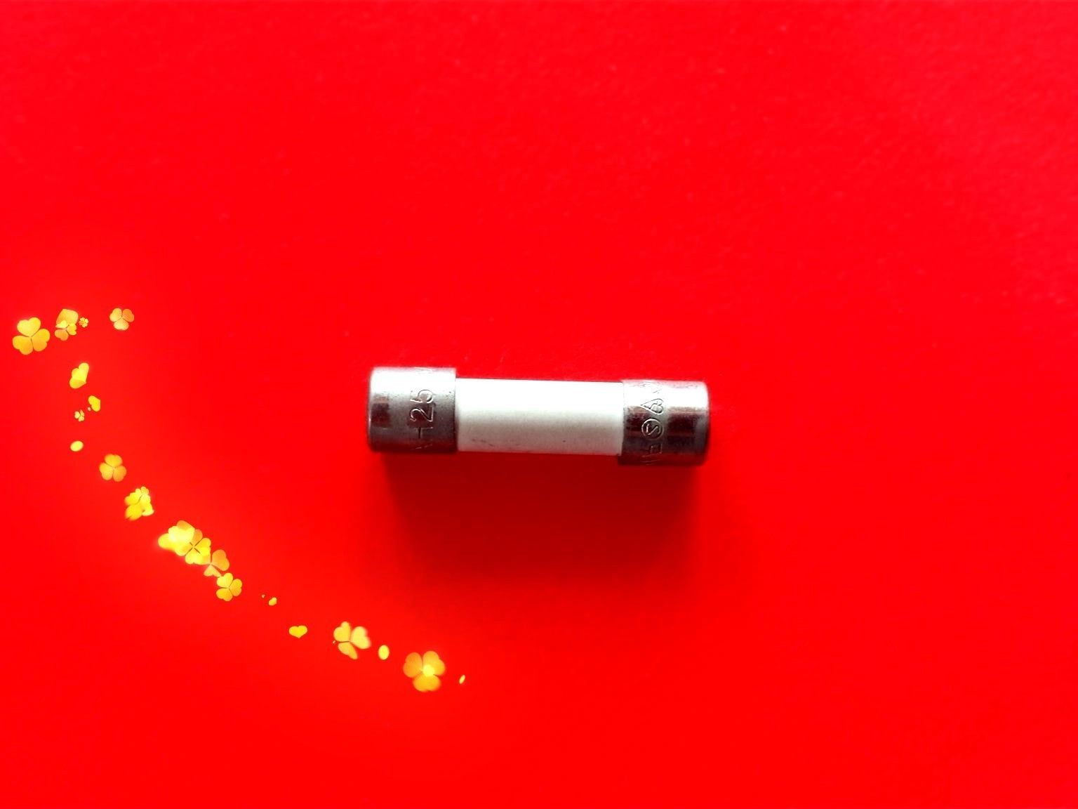 5pcs F6.3AH250V, 5*20mm Fast-acting Ceramic Body Cartridge Fuse ...
