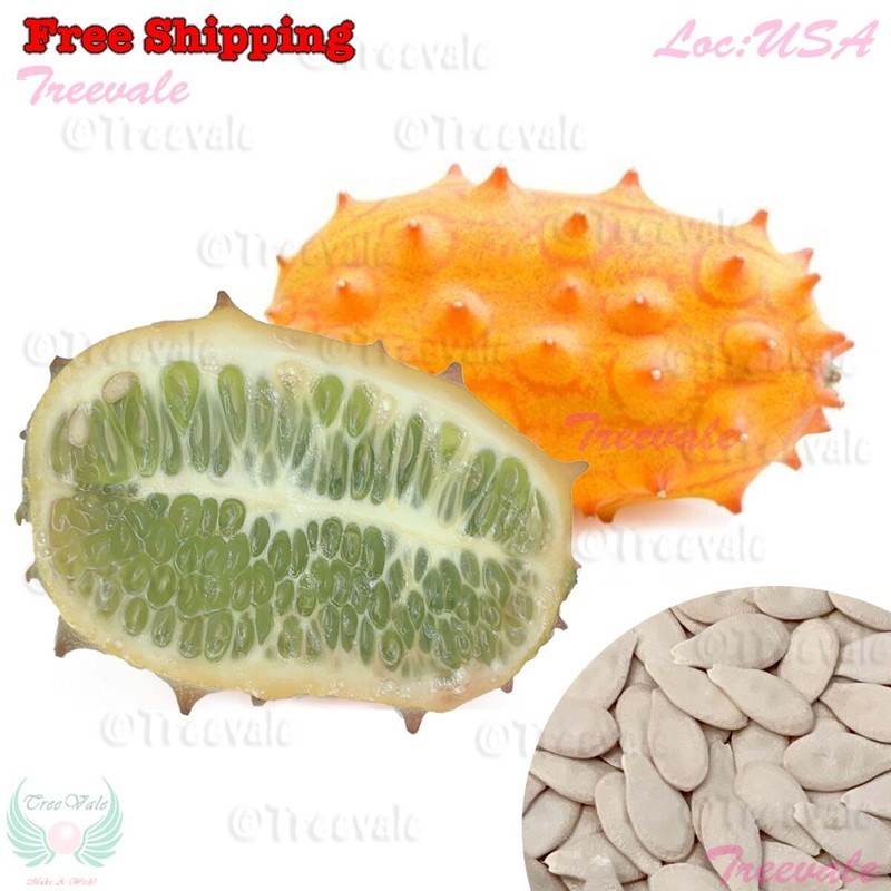 Kiwano Jelly Melon Long Horned Melon African Horned Cucumber Seeds Fast ...