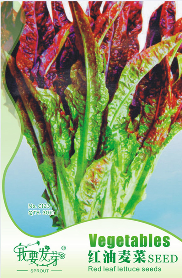 New Fresh Pack 30 Seeds / Pack Red Salad Bowl Leaf Lettuce Seeds ...