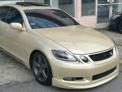 F Sport Mesh Grill Grille Fits Lexus GS GS300 GS350 GS430 GS450h 06-07 ...