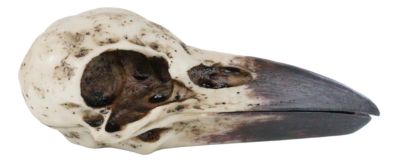 Ebros Bad Omens Witchcraft Gothic Raven Crow Skull Jewelry Box Figurine ...