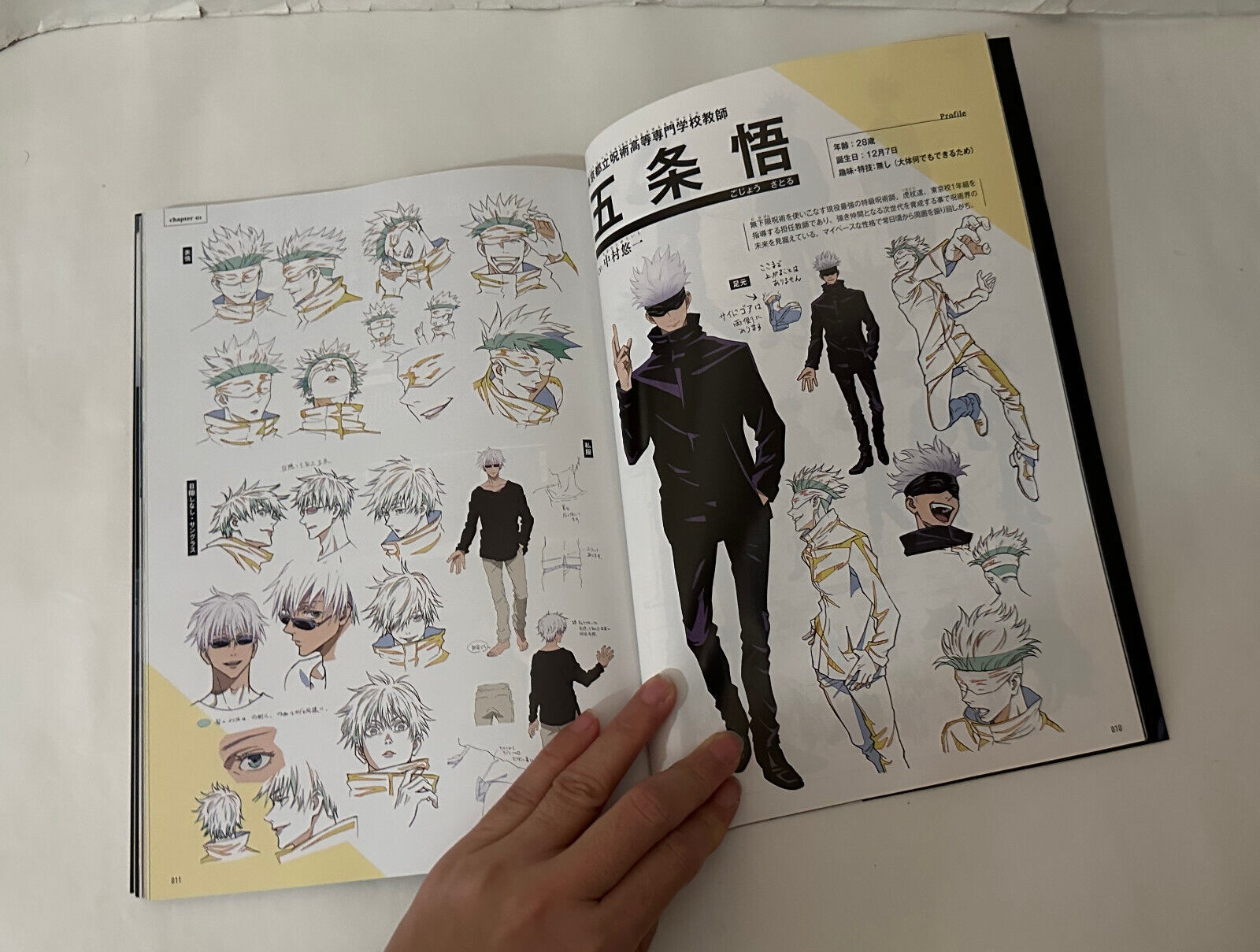 Jujutsu Kaisen TV Animation 1st Season Complete Book Gege Akutami Japan ...