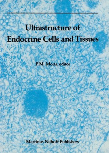 Ultrastructure of Endocrine Cells and Tissues (Electron Microscopy in ...