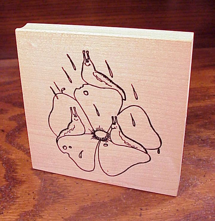 Three Slugs on a Flower in the Rain Mounted Rubber Stamp, by Cathe ...