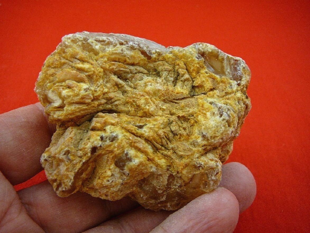 (k-2639) 70 g Rare Kauri tree Gum copal young Amber New Zealand Tane ...