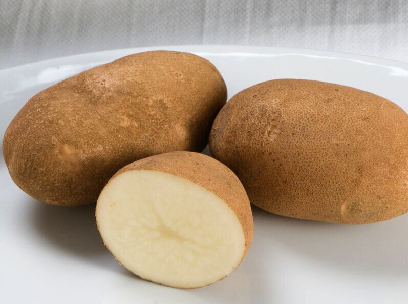 PSA Seed Potatoes 4 Pounds Russet Usda Seeds Potato Organic Fast ...
