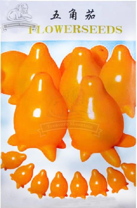 10 Packs 20 Seeds Solanum Mammosum Cow S Udder Nipple Fruit Apple Of ...