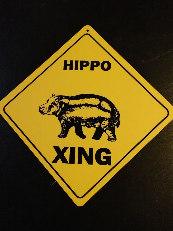 Baby Hippo Hippopotamus Fiona Large 16 inches point to point Crossing ...