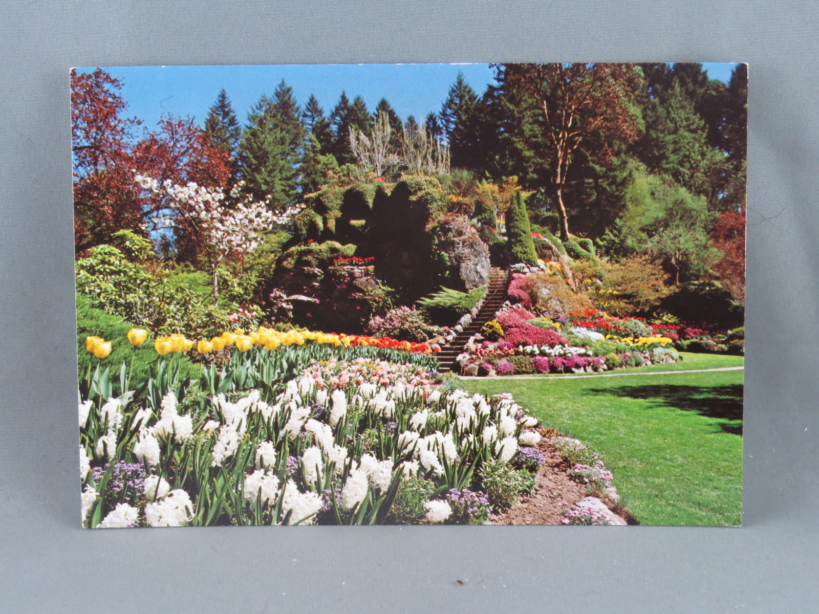 Vintage Postcard - Butchart Gardens the Sunken Garden - Traveltime ...