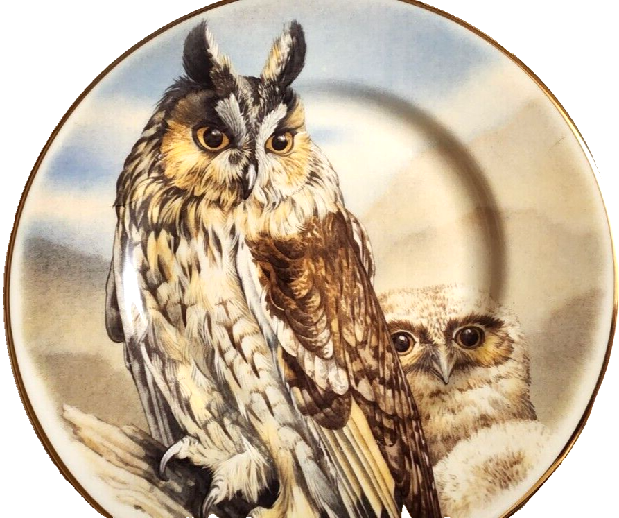 Fenton China Co.English Bone China Long-Eared Owl Collector Plate Circa ...