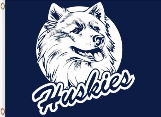 Connecticut Huskies Hand Flag 3X5ft Banner Polyester with 2 Brass ...