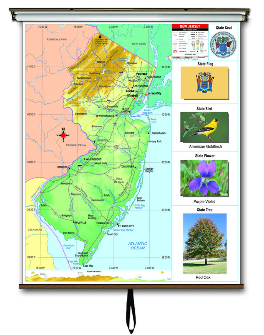 New Jersey State Primary Thematic Wall Map on Roller w/ Backboard ...