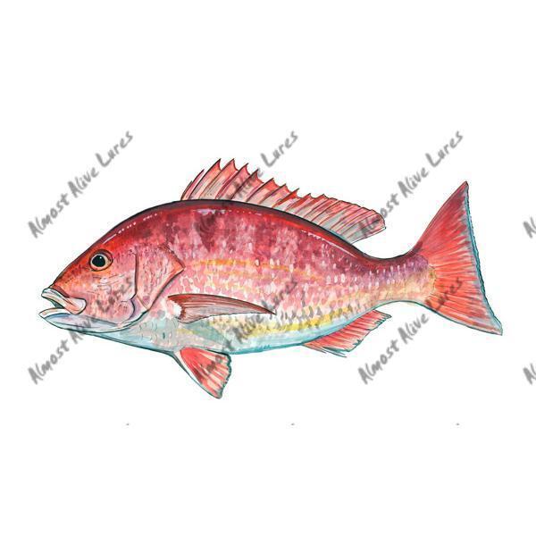 Northern Red Snapper Fish Vinyl Decal Sticker Truck Boat Car Cooler Cup ...