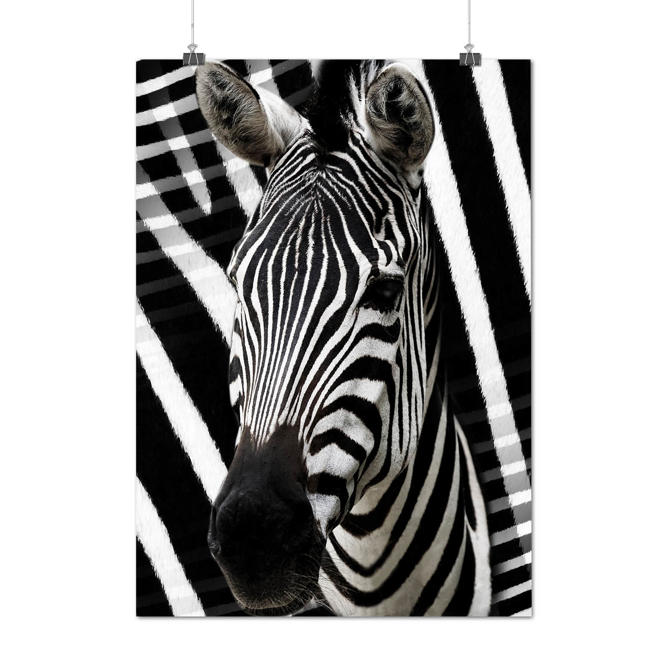 Zebra Face Cute Animal Africa Horse Matte/Glossy Poster A0 A1 A2 A3 A4 ...