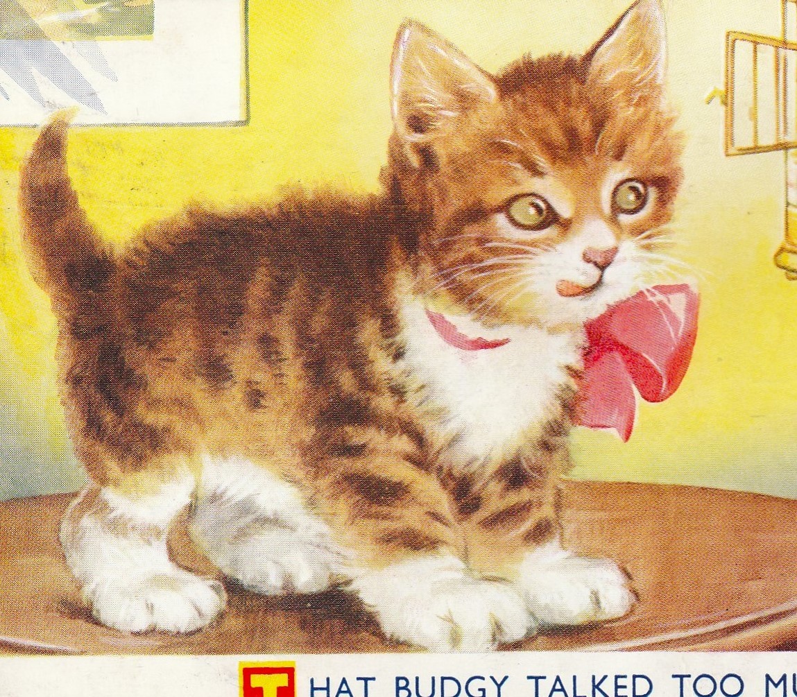A/S D. Tempest Little Cat Has Eaten the Budgy (Parakeet) Vintage Comic Postcard - Postcards