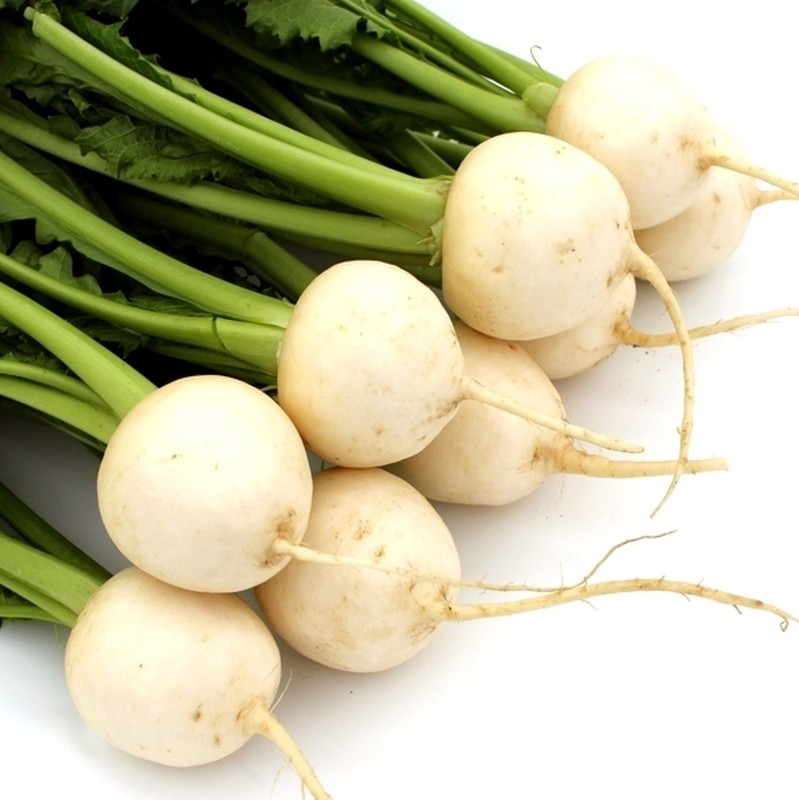 Shogoin Turnip Microgreens Sprouting Or Garden Bin186 Heirloom Seeds ...