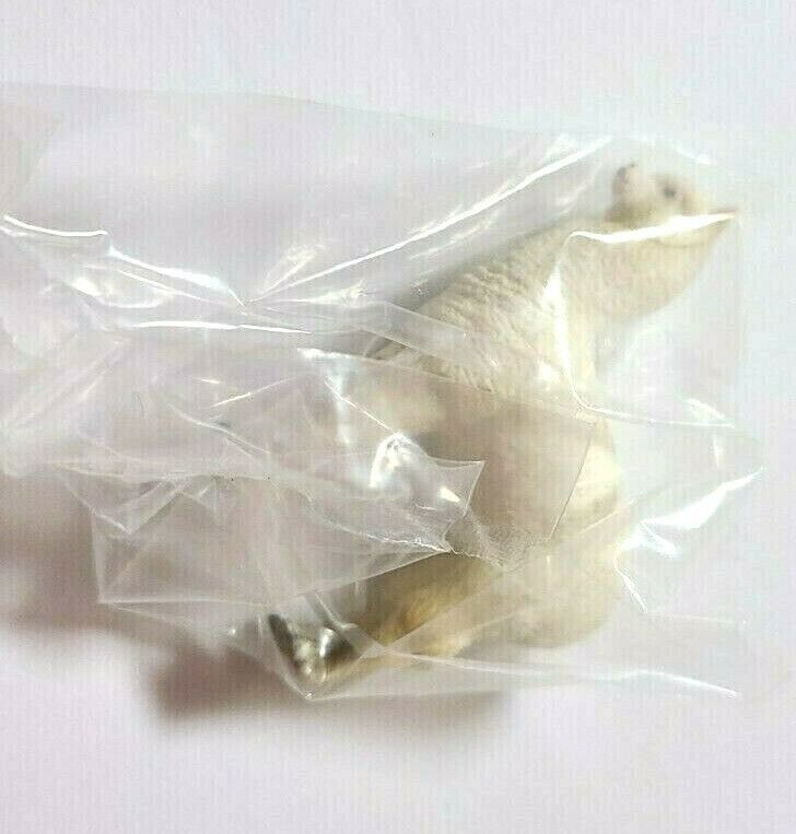 KAIYODO Capsule Q Museum Rare Beast Zoo All 5 types set Gacha Gacha - Other