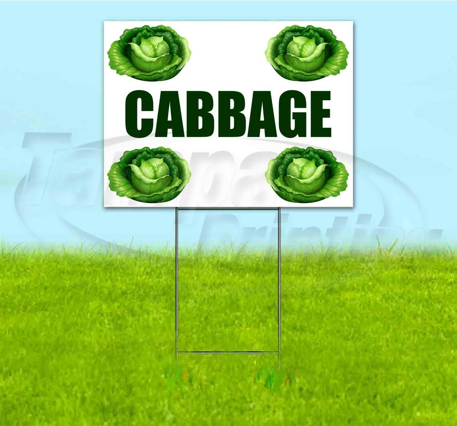 CABBAGE 18x24 Yard Sign WITH STAKE Corrugated Bandit USA BUSINESS ...