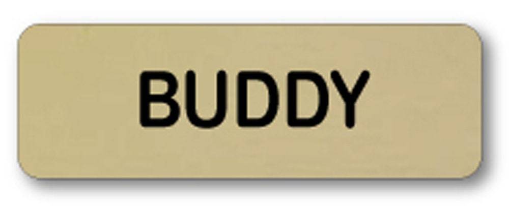 BUDDY From Free Guy Name Badge w/ magnetic back & 3" Security pin back ...