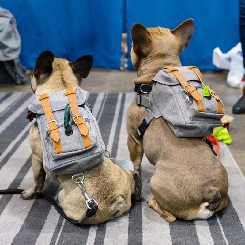 Pet Self Backpack Schnauzer Small And Medium-sized Dog Corgi Bag ...