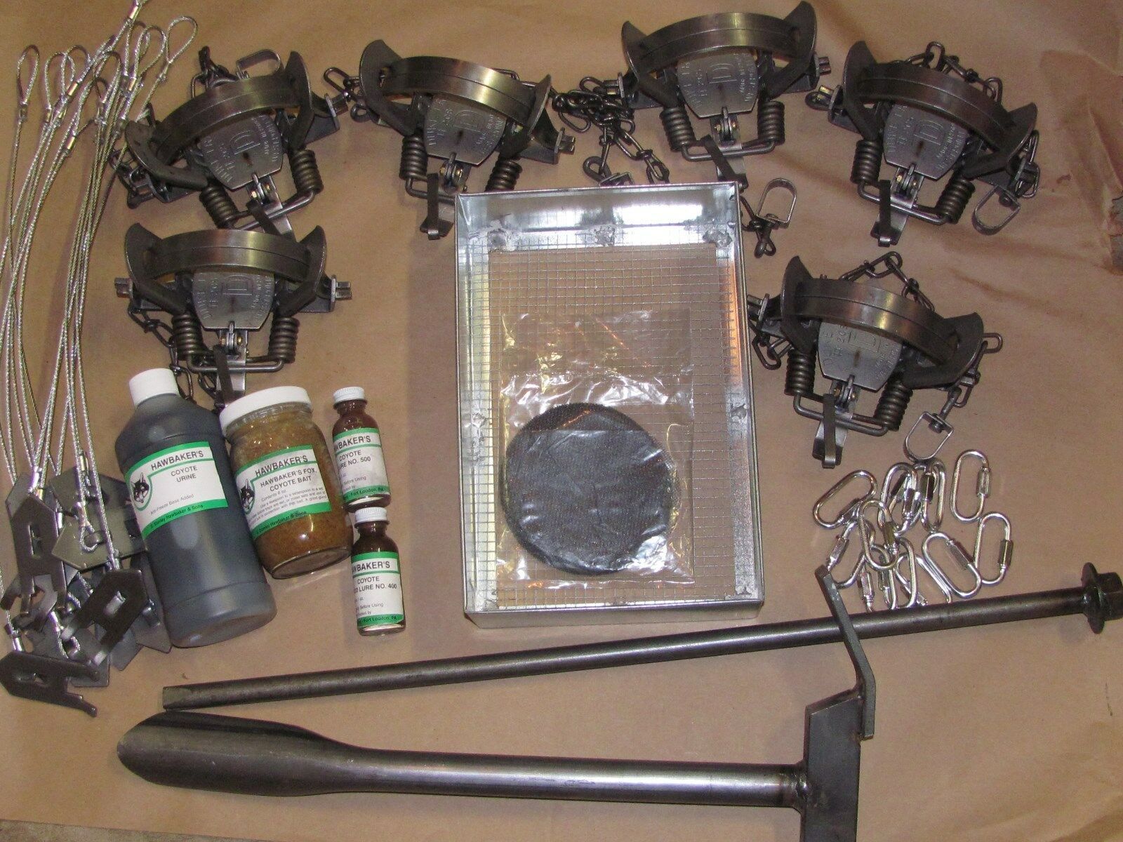 Coyote Trapping Package duke #2 coil spring kit Fox Coyote Raccoon New ...