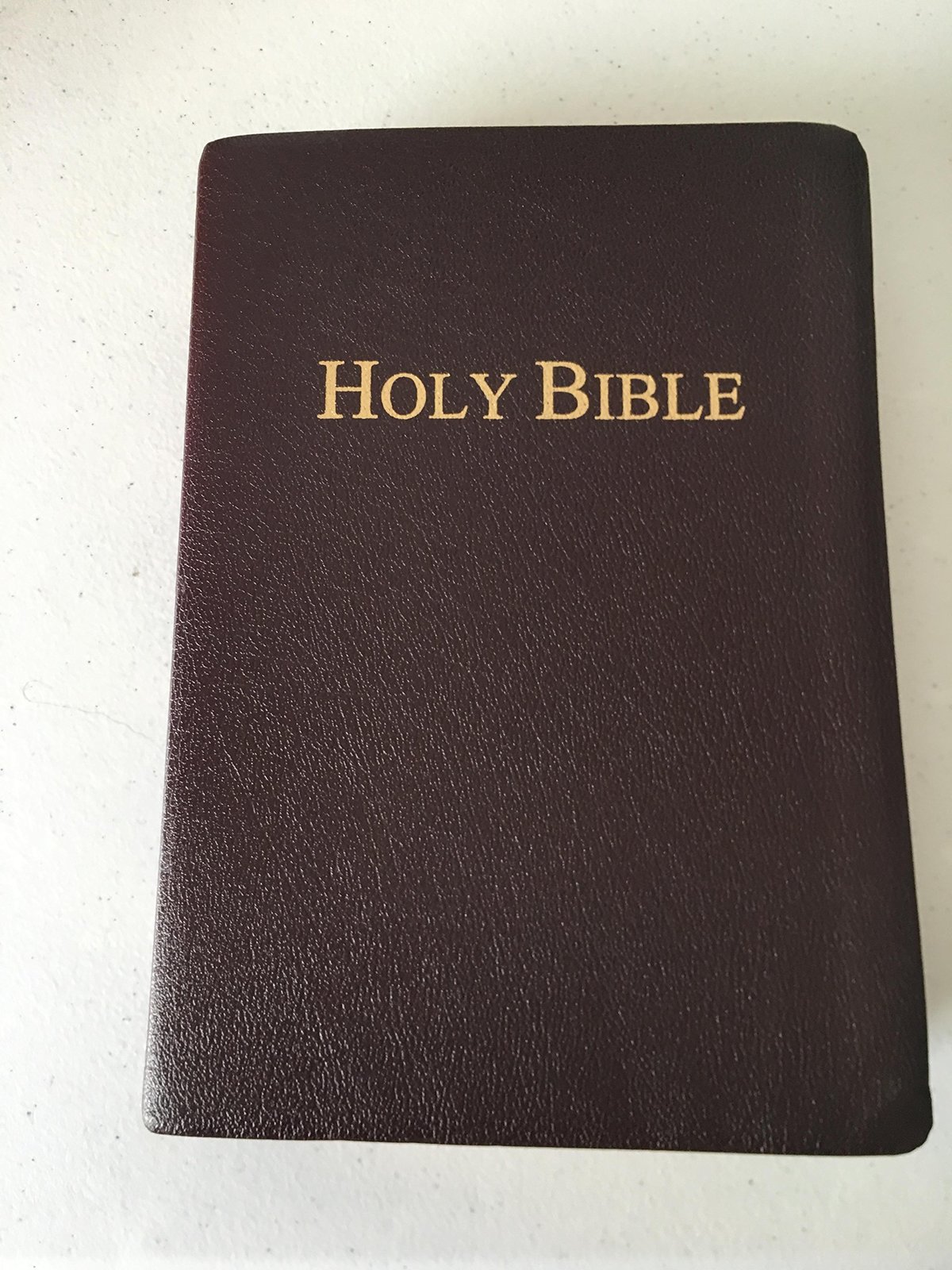 Holy Bible: Subject Bible Complete Topical Study and Reference Edition ...