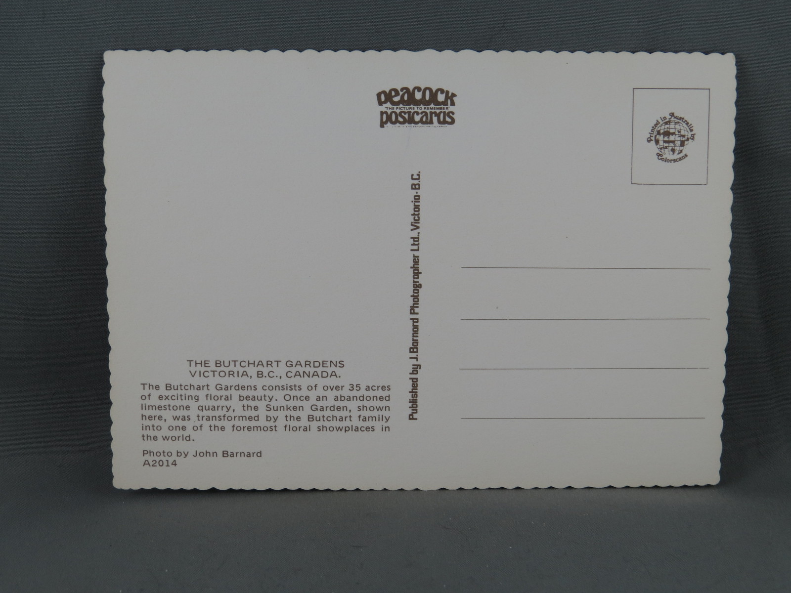 Vintage Postcard - Butchart Garden Sunken Garden Victoria - Peacock ...