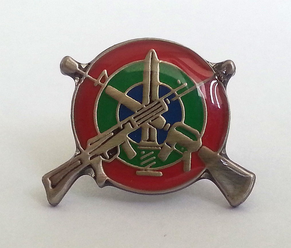 Israeli army IDF SNIPER expert pin M16 Galil rifle gun - Medals, Pins ...