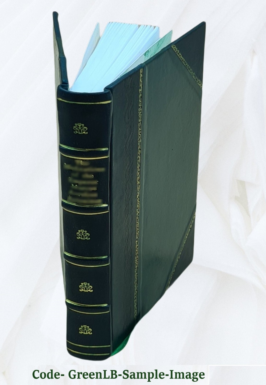 The first book of the marriage, baptismal and burial registers o ...