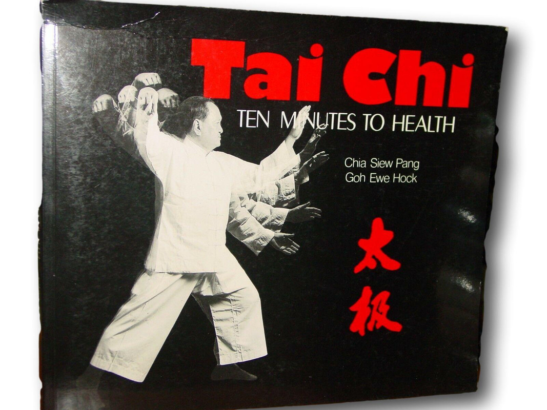 Rare Tai Chi: Ten Minutes To Health, 44 Positions Ancient Chinese ...