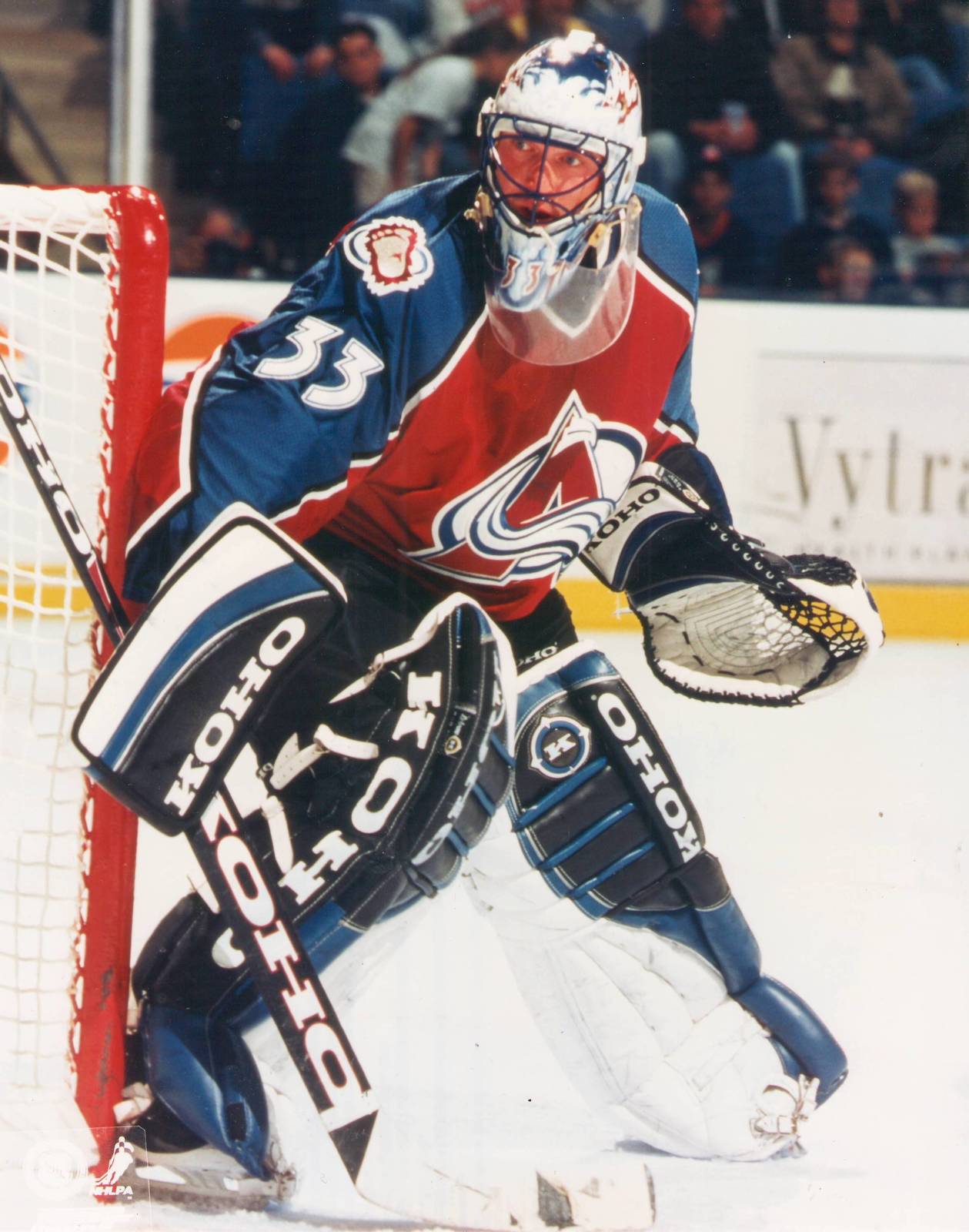 Patrick Roy 8x10 goaltender Colorado Avalanche Hockey NHL - Pose B ...